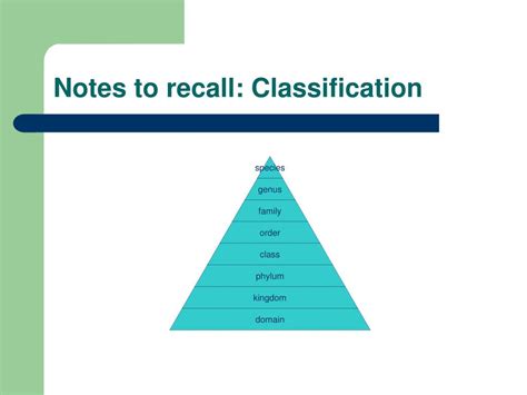 Ppt Ahsge Review Powerpoint Presentation Free Download Id 1780989