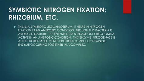 Biochemistry Of Biological Nitrogen Fixation Pdf