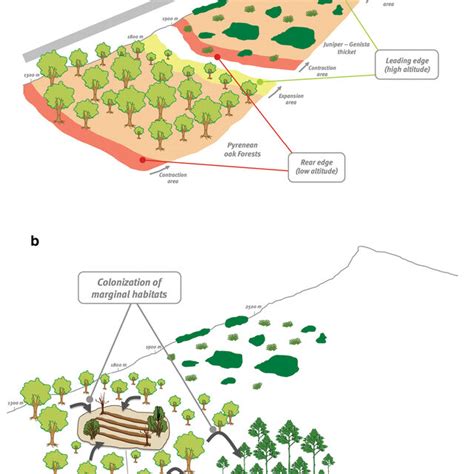 Schematic Representation Of The Two Main Hypothesis Of The Project