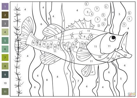 Largemouth Bass Color By Number Coloring Page Free Printable Coloring