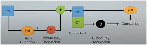 Process Of Verifying Signatures Using Rsa Algorithm Download
