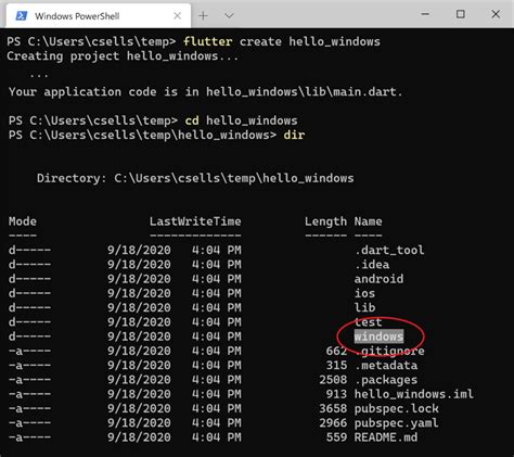 开始使用 Flutter 构建 Windows 桌面应用吧！ Csdn博客
