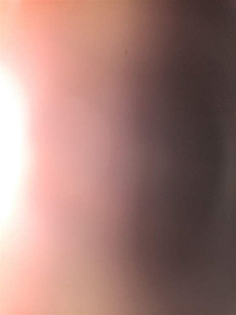 Bengals Cincinnati Bengals Shared By Rickb