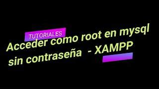 Acceder como root en mysql sin contraseña XAMPP Doovi
