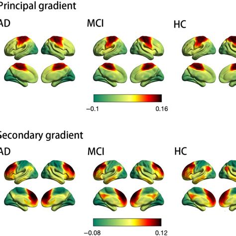 Whole‐brain Voxel‐level Secondary Gradient Comparisons Among The Download Scientific Diagram