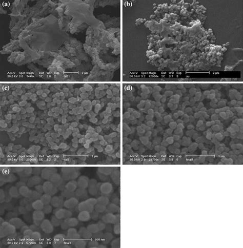 sem micrographs of a fe3o4 sio2 go b fe3o4 sio2 go au c download scientific diagram