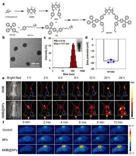 Multifunctional Nanoplatform For Nir Ii Imaging Guided Synergistic Oncotherapy