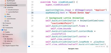 Lottie Animation In Swift Mobikul