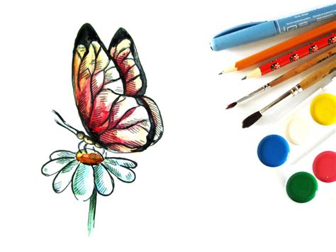 Как нарисовать бабочку поэтапно для детей 5 лет карандашом