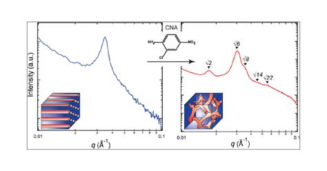 Templating Polymerchromophore Crystallization In A Gyroid Matrix Macromolecules