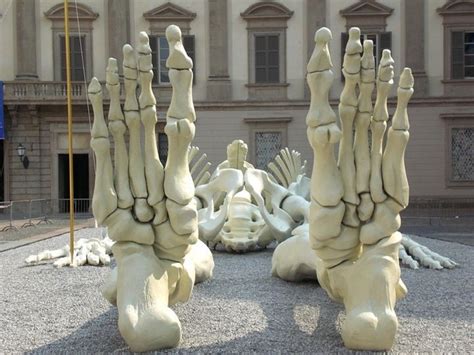 Giant Traveling Skeleton Giant Human Skeletons Museum Of Modern Art