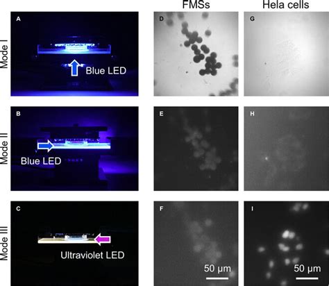 Multimode Imaging With A Singlet Metalens Schematic Diagrams Of A