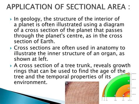 Numerical Integration And Its Applications Pptx Physics Science