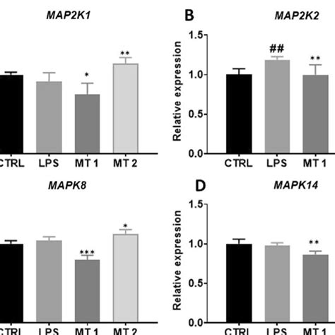 Expression Of Mitogen Activated Protein Kinases Mapks Transcript