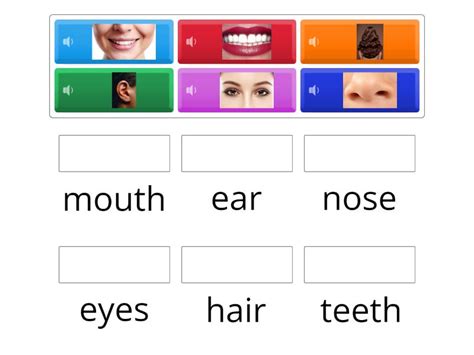 unit 4 lesson 7 online match up
