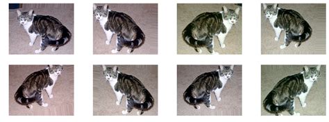 Deep Learning 3 More On Cnns And Handling Overfitting By Rutger