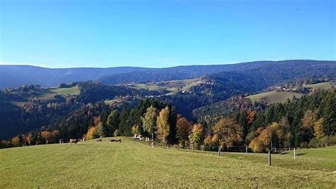 Ap Environmental Science