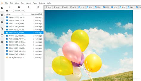 【detectron2 教程】detectron2 安装 运行demo 运行预训练模型 在一个新的数据集上训练一个detectron2模型 训练自定义数据集 Balloon Dataset