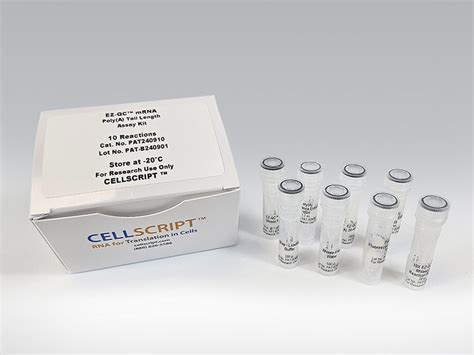 A Plus™ Polya Polymerase Tailing Kit ⋆ Cellscript™