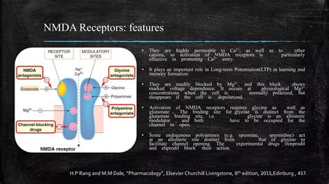 Glutamatergic System By Arghya Pptx