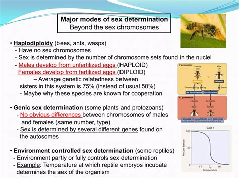 Genetics Lecture 2 Pw 2012 PPT