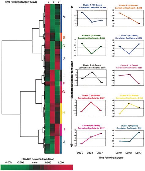 hierarchical tree clustering analysis of variance normalized gene