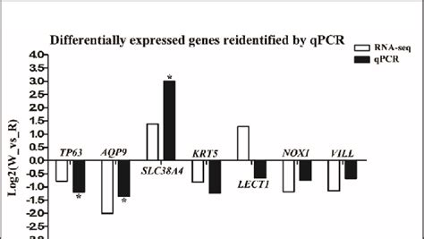 Differentially Expressed Genes Reidentified By QPCR Asterisk Download Scientific Diagram