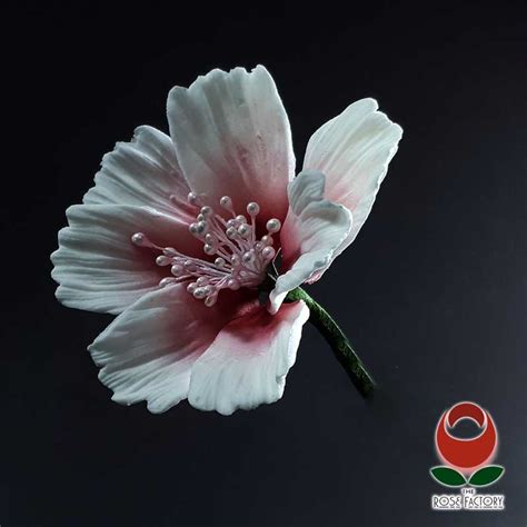 Large Red Coreopsis Gum Paste Icing Sugar Flower The Rose Factory