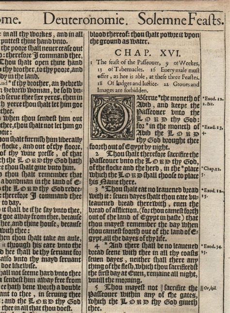 King James 1611 Deuteronomy 14 16 Historic Bibles And Engravings