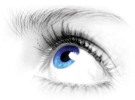 Pvq Personality Test Buy Reports Consulenza Hr Per Aziende E