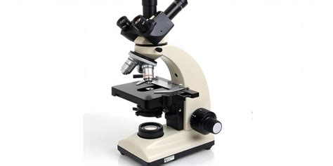 Scientific Specimen Under Microscope Premium Ai Generated Image