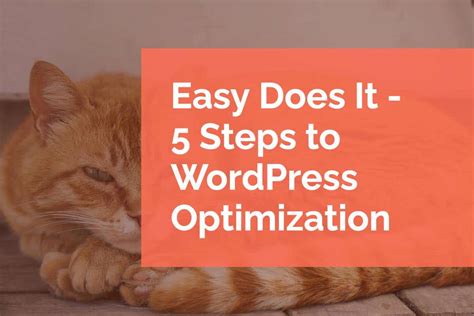 Easy Does It 5 Steps To Wordpress Optimization Pixel Jar