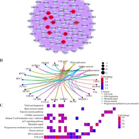 Os And Dfs Analysis A Os And Dsf Analysis Of Vcan B Os And Dfs