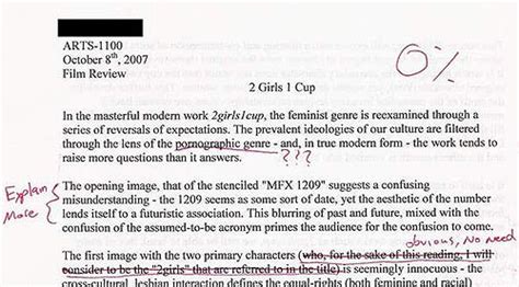 Film Review 2 Girls One Cup Boing Boing