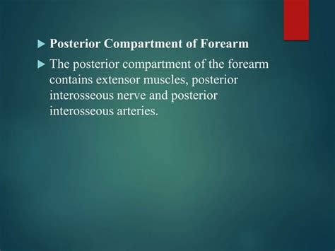 Extensor Compartment Of Forearm 1 Ppt