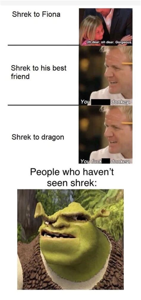 Shrek Donkey And Dragon Meme