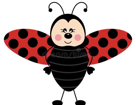 Friendly Ladybug Standing Isolated On White Stock Illustration