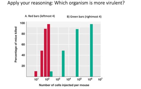 Session 26 Flashcards Quizlet