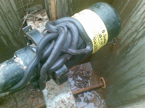 Spare A Thought For Telstra Tech Pete Milward Delimiter