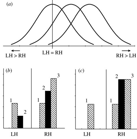 Distribution Of Lateralization Of Handedness In Proportion Of
