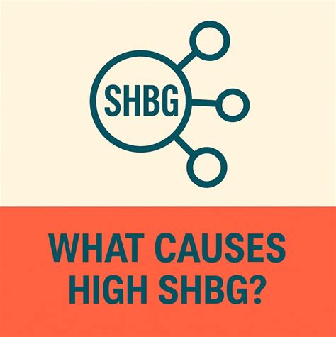What Causes High Shbg Understanding The Factors Behind Sex Hormone Binding Globulin Imbalance