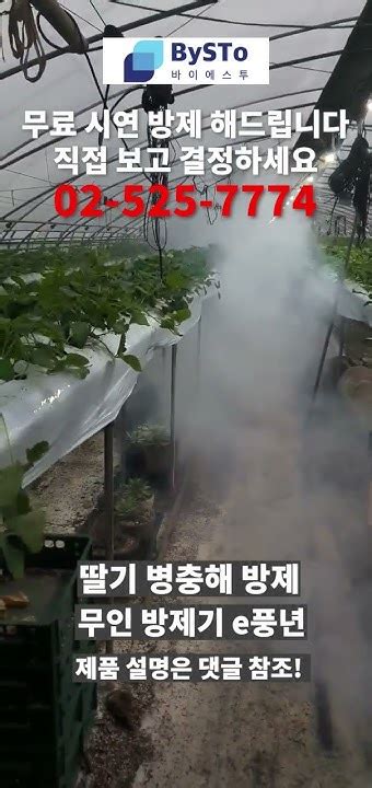 무인 방제기 E풍년 딸기농사 병해충방제 농약살포기 흰가루병 응애 Youtube