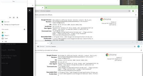 Python Cant Access To Correct Chrome Profile With Selenium And That