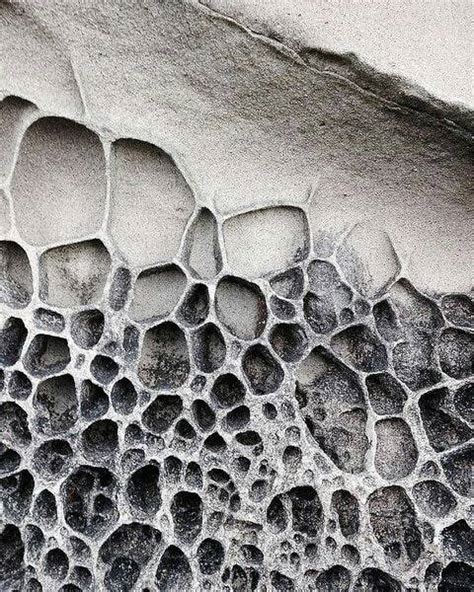 Organic Shape Photography