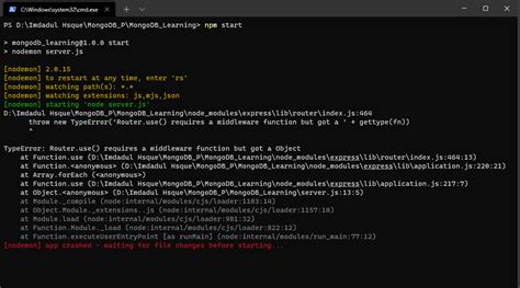 Javascript Nodemon App Crashed Waiting For File Changes Before