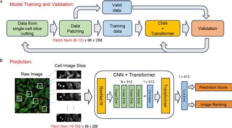 Stefan Prechtl On Linkedin Attention Based Deep Learning For Accurate