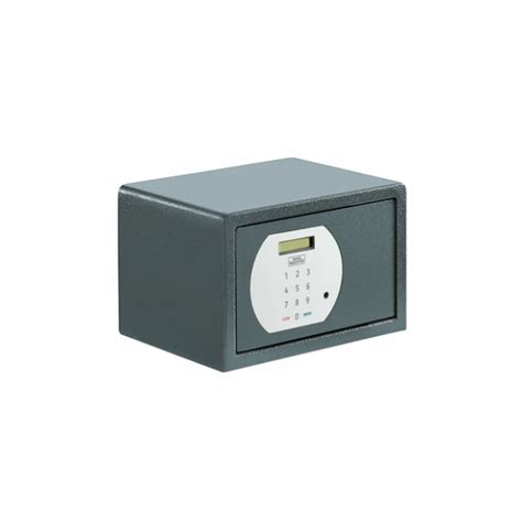 Pure Safe Small Model Safe Optimal Security And Protection