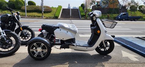 정부지원금 세발 전기스쿠터 이스코트리~오토바이 경상북도 포항시 남구 해도동 비즈프로필