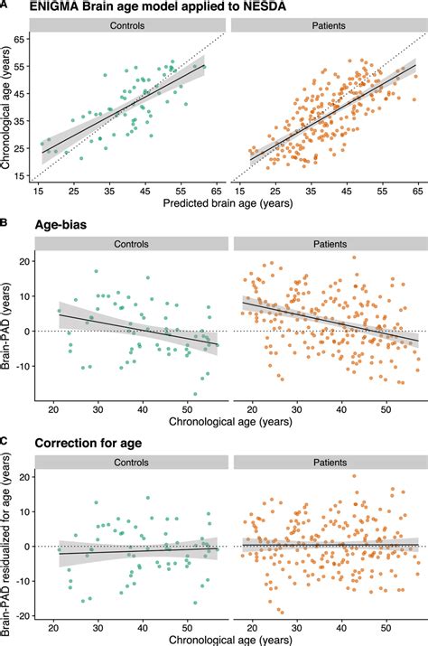 Brain Age Prediction A Correlation Between Predicted Brain Age And Download Scientific Diagram