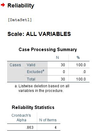 Cronbachs Alpha In SPSS Dr Matt C Howard